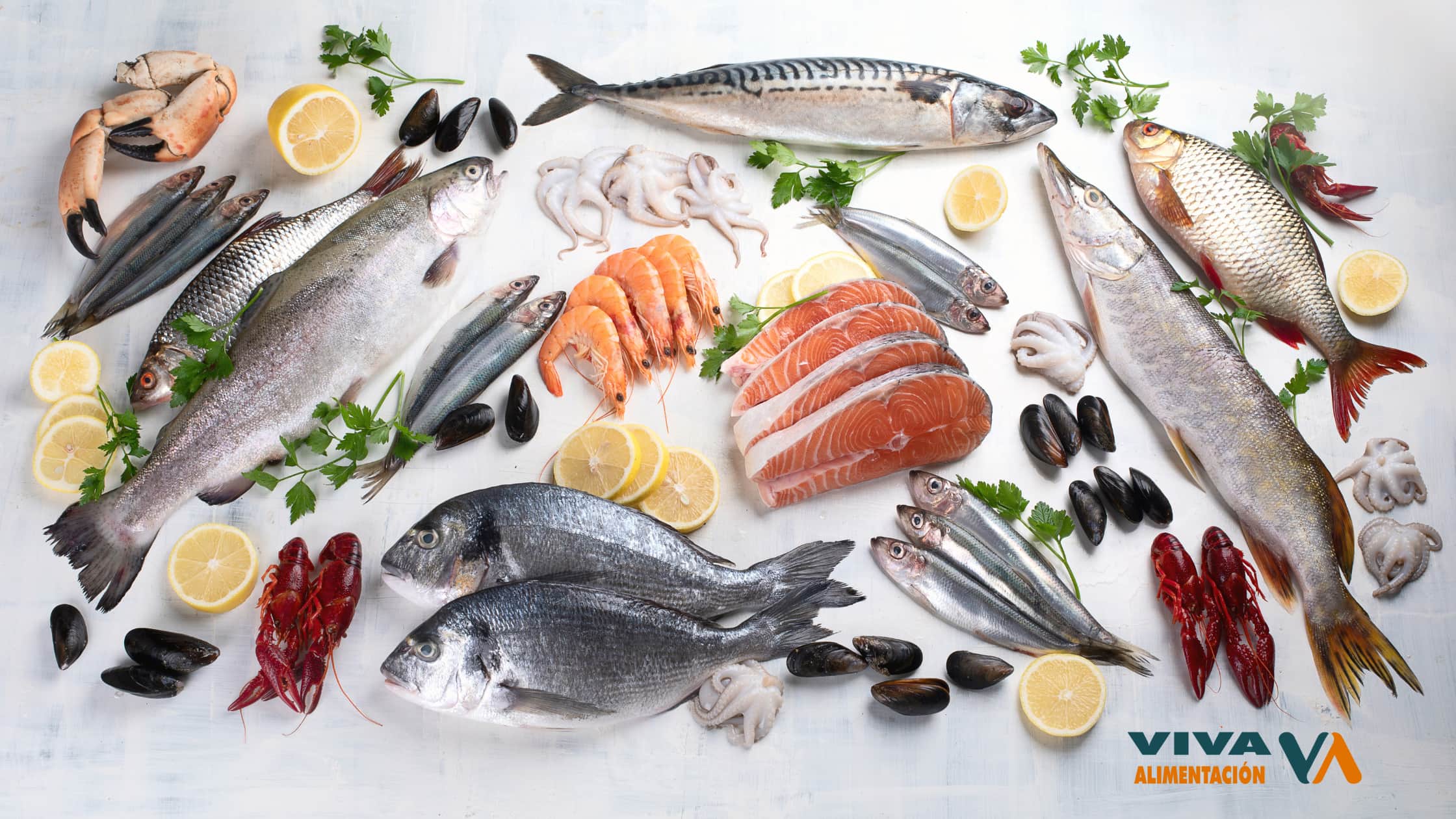 Conservas de Pescado Españolas: Cómo Usarlas en tu Cocina - Viva ...